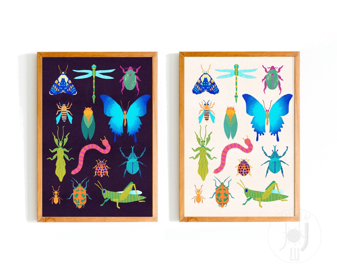 Aussie Bugs & Insects A3 Print signed 100% Recycled 350gsm - Etsy