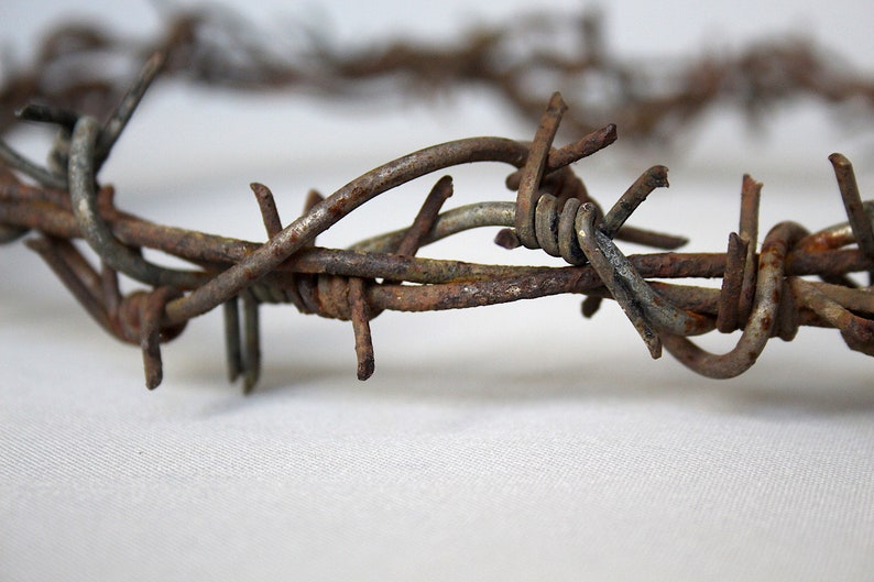 Barbed Wire Wreath Rusty Barbed Wire - Etsy