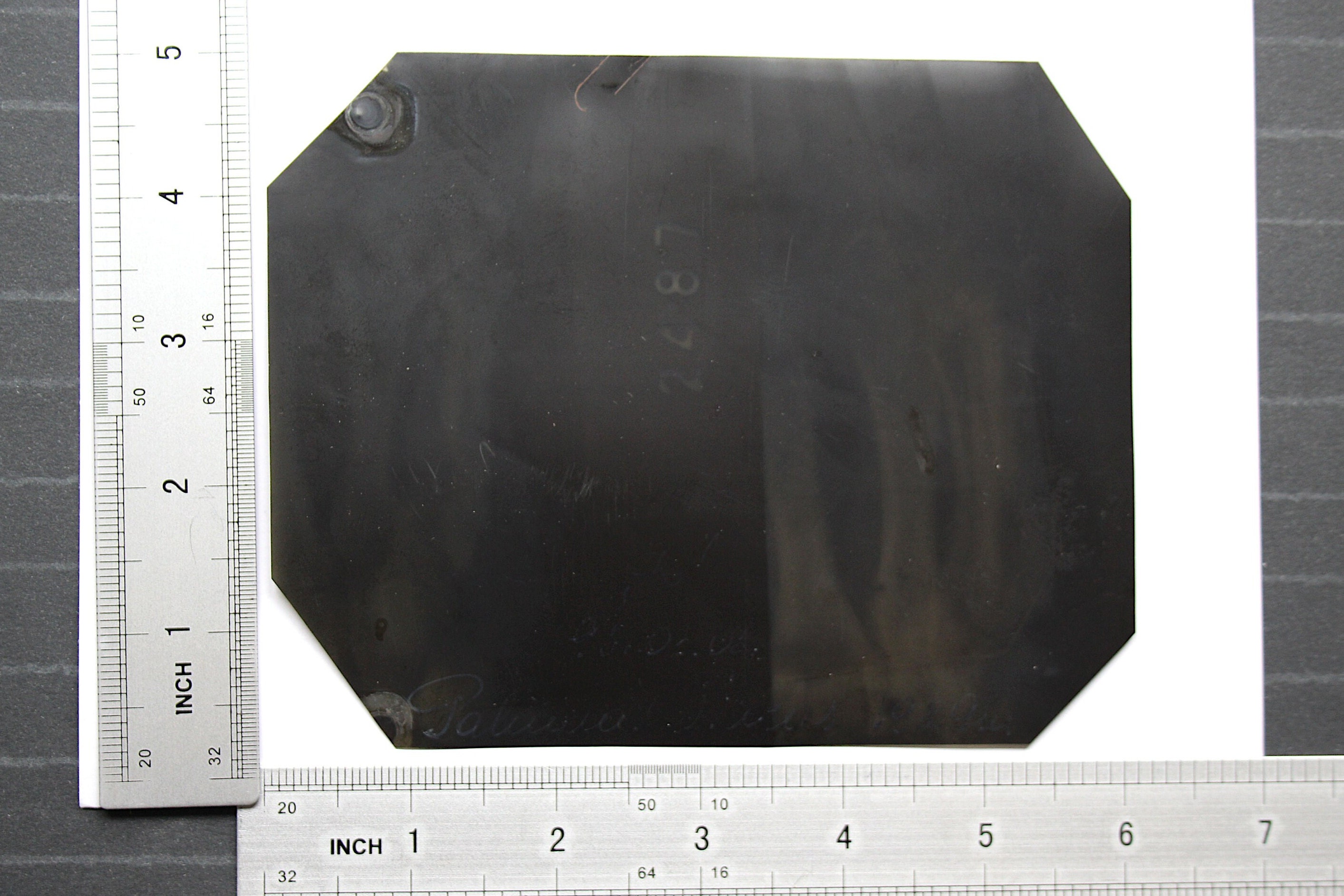 Real X-ray of a Human, X-ray of a Human Hand, X-ray of Fingers - Etsy