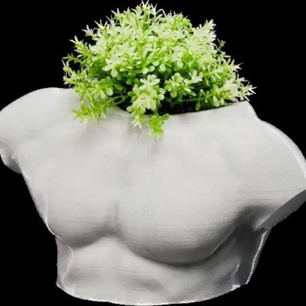 Bust Planter - Etsy