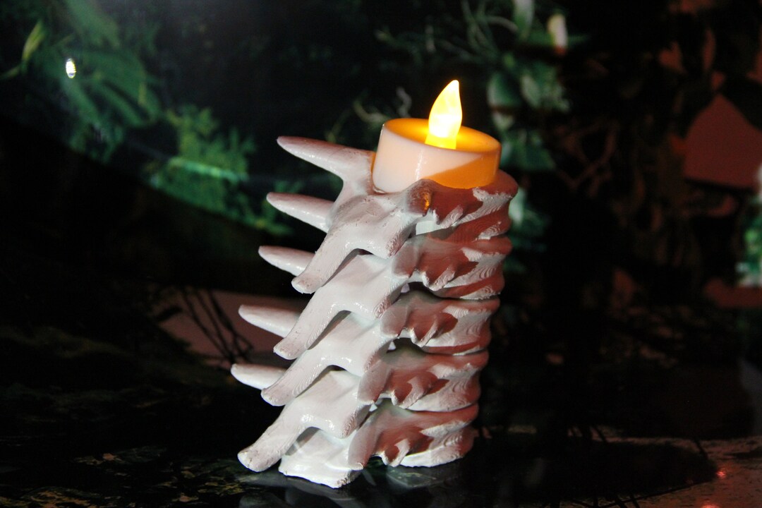 Modern and Unique Bone-shaped Candle Holders With Led Candle Spinal ...
