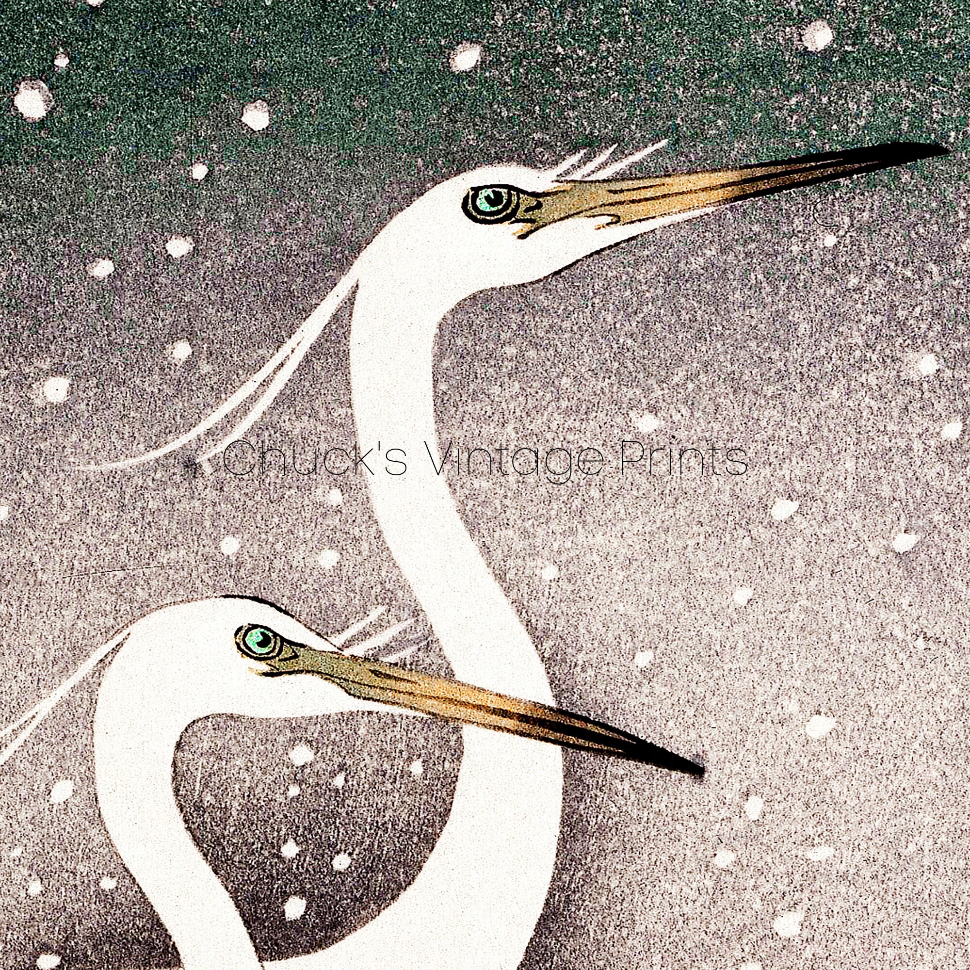 A Group of Egrets PRINTABLE Painting, Vintage Antique Digital Bird Wall ...
