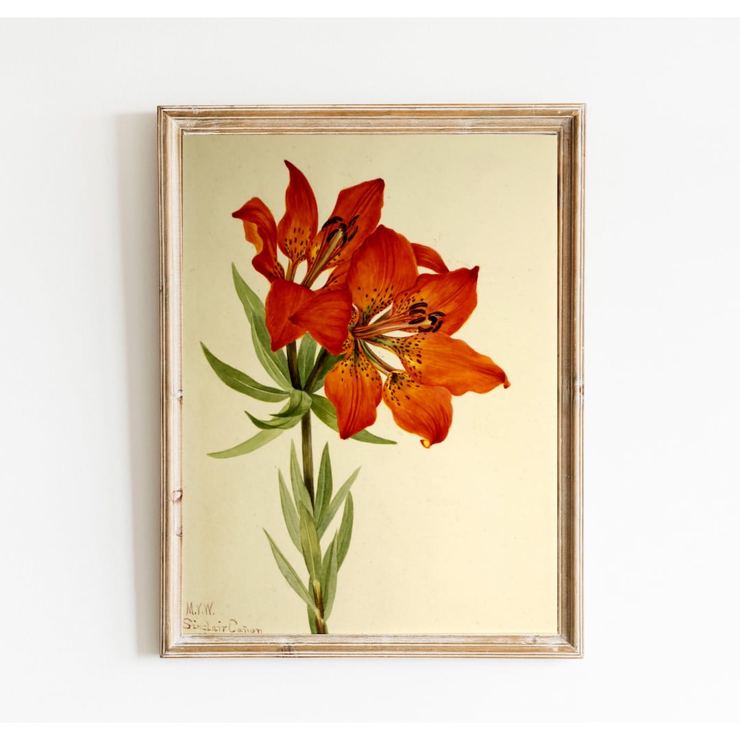 Vintage Red Lily Watercolor Painting, Digital Wall Art PRINTABLE ...