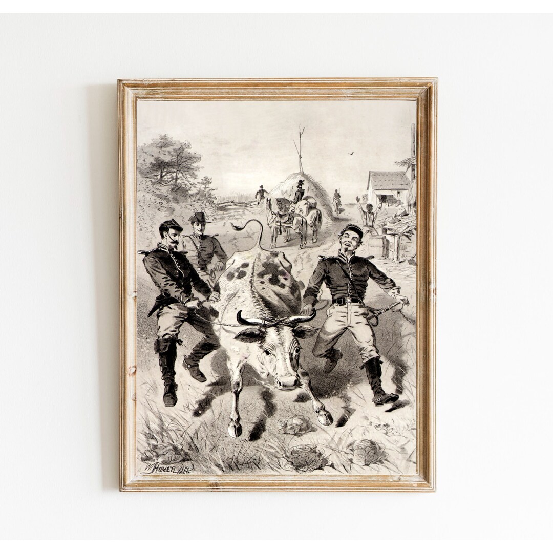 Vintage 1800s Raging Bull Cartoon Sketch Drawing Antique - Etsy