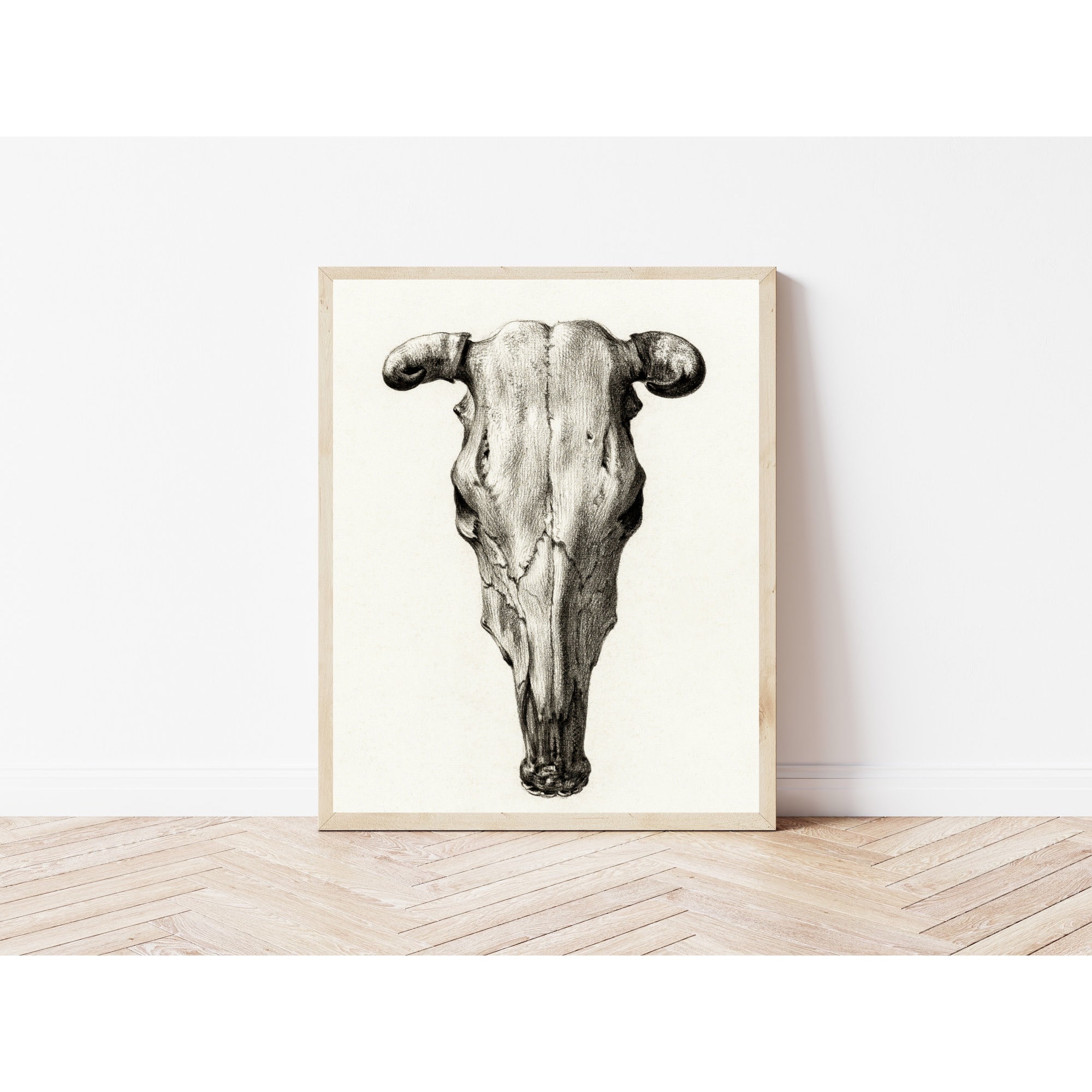 A Pencil and Chalk Drawing of the Skull of a Cow PRINTABLE Western Wall ...