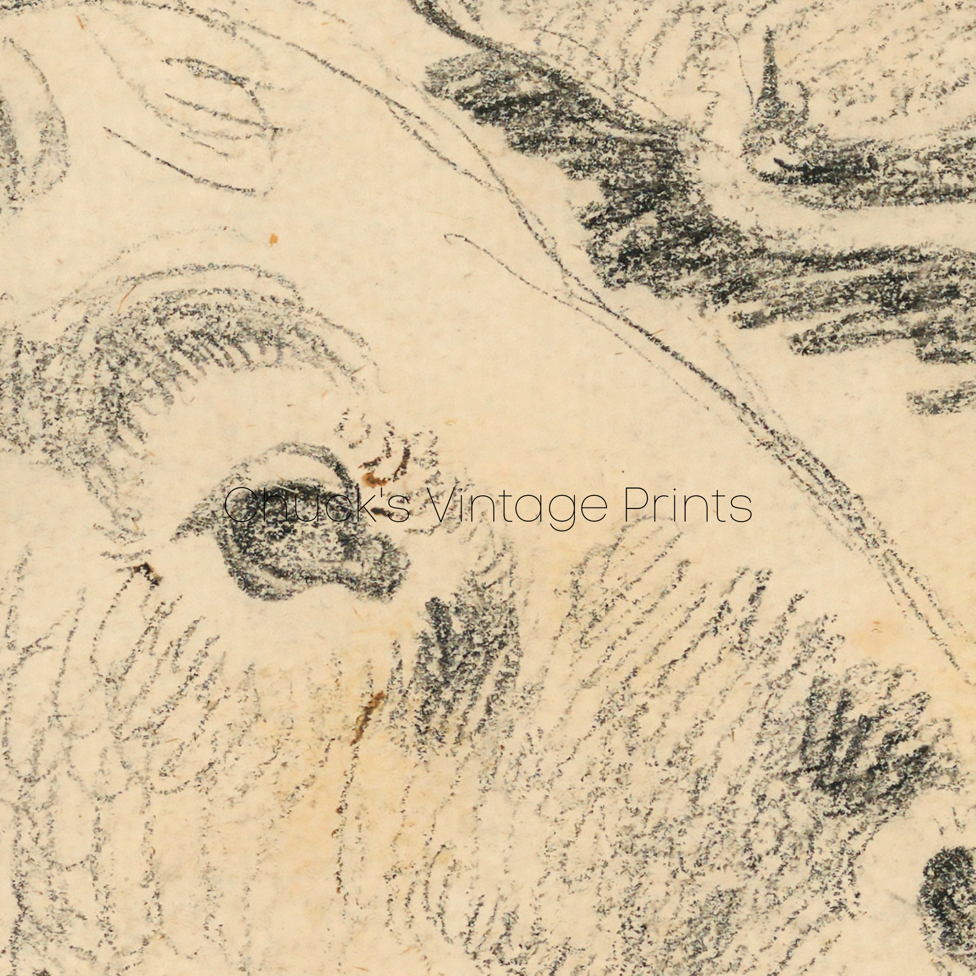 Farmhouse Sketch, Primitive Drawing, Vintage Cows Etching PRINTABLE ...