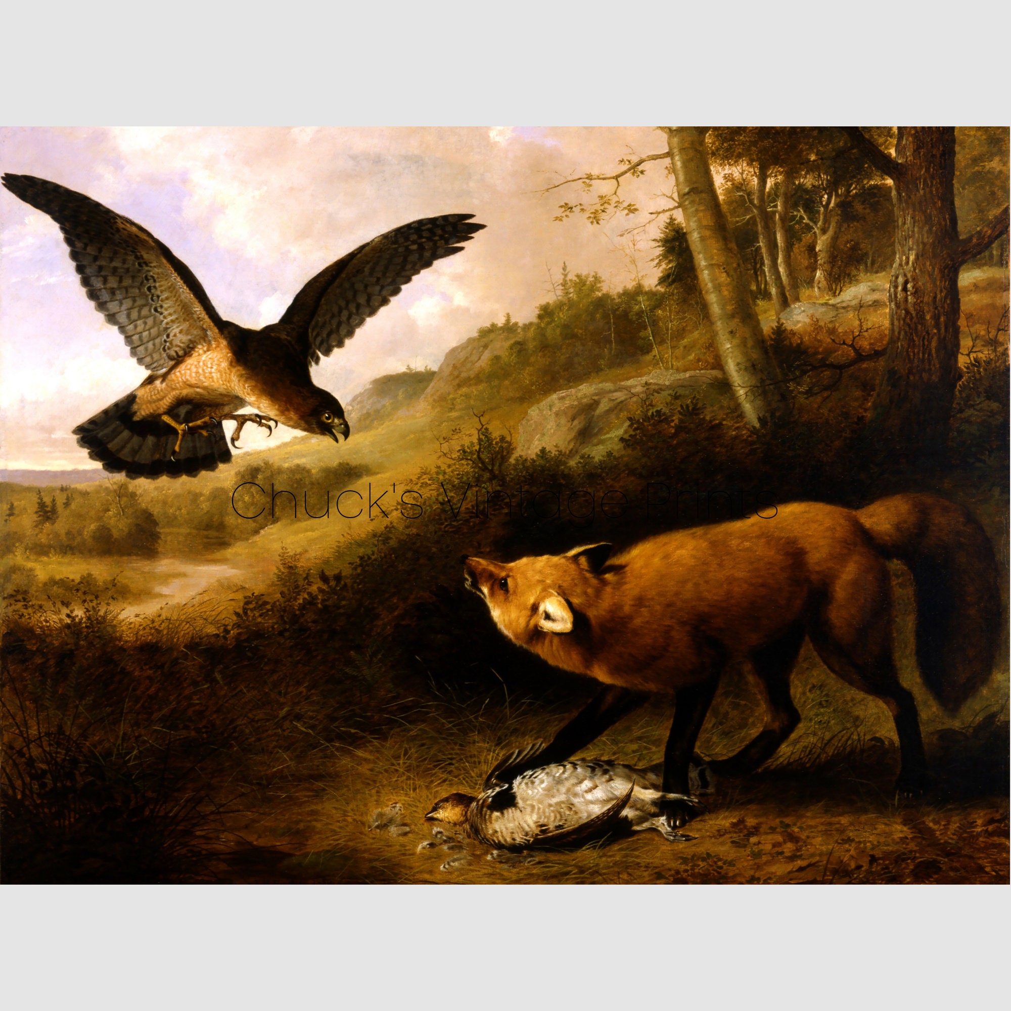 A Hawk and a Fox Vintage Printable Painting, Antique Farmhouse Country ...