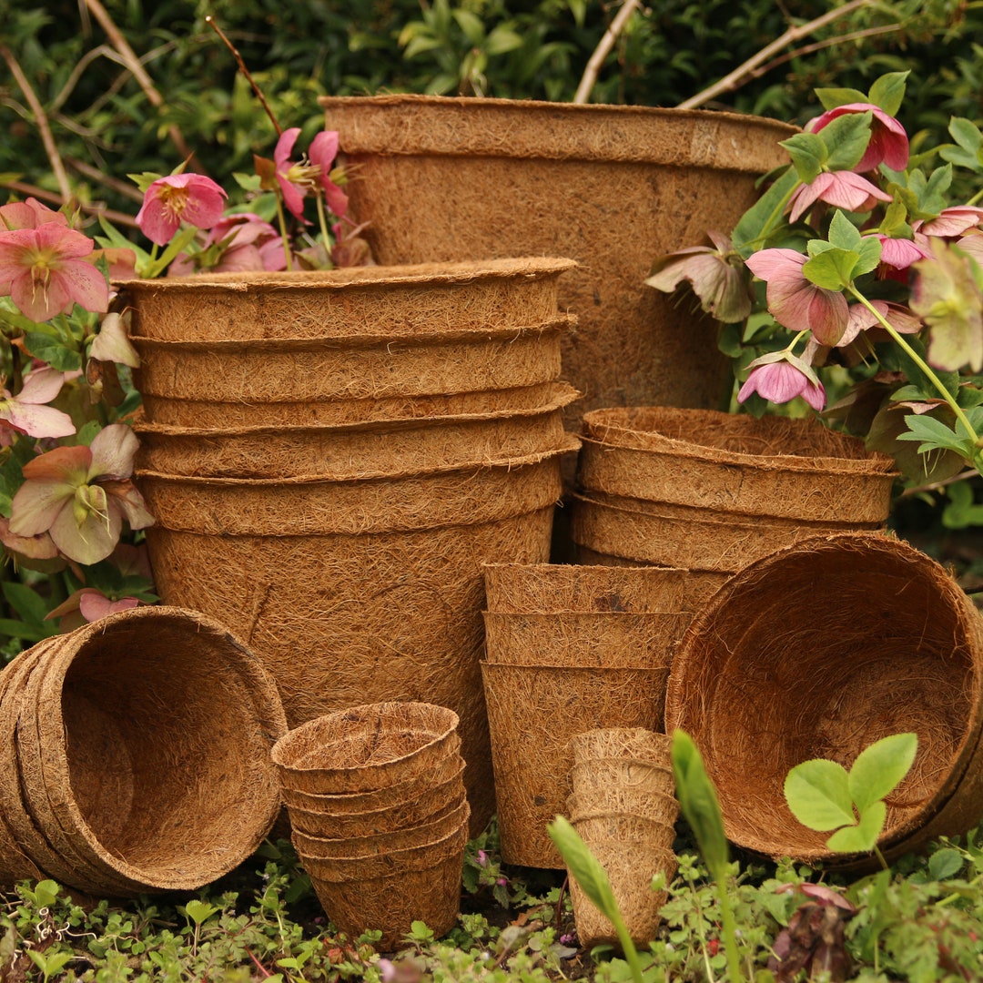 Coco Pots | Coir Plant Pots | Different Sizes Pack: 8cm Pot | 10 Cm Pot ...