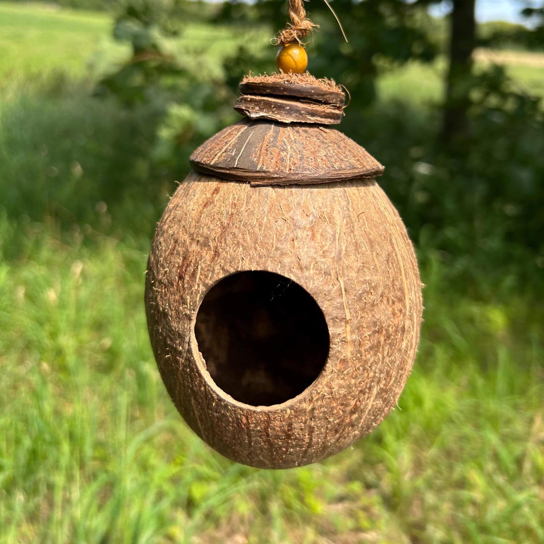 Coir Shell Bird Nest Coconut Shell Bird Nest Ideal Home for Those ...