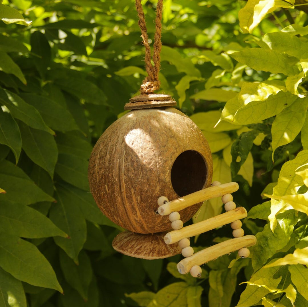 Coir Shell Bird Nest Coconut Shell Bird Nest Ideal Home for Those ...