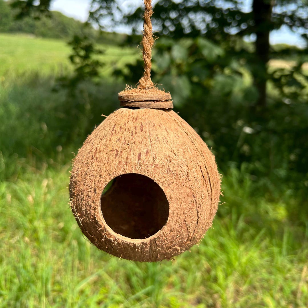 Coir Shell Bird Nest | Coconut Shell Bird Nest | Ideal Home for Those ...
