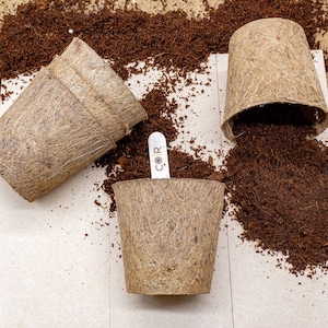 Coco Pots Coir Plant Pots Different Sizes Pack: 8cm Pot 10 Cm Pot 17 Cm ...