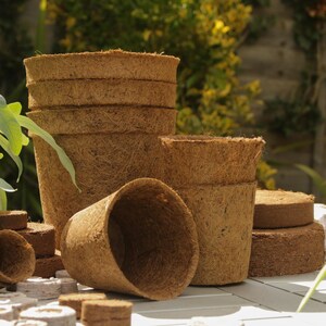 Coco Pots | Coir Plant Pots | Different Sizes Pack: 8cm Pot | 10 Cm Pot ...