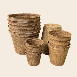 Coco Pots | Coir Plant Pots | Different Sizes Pack: 8cm Pot | 10 Cm Pot ...