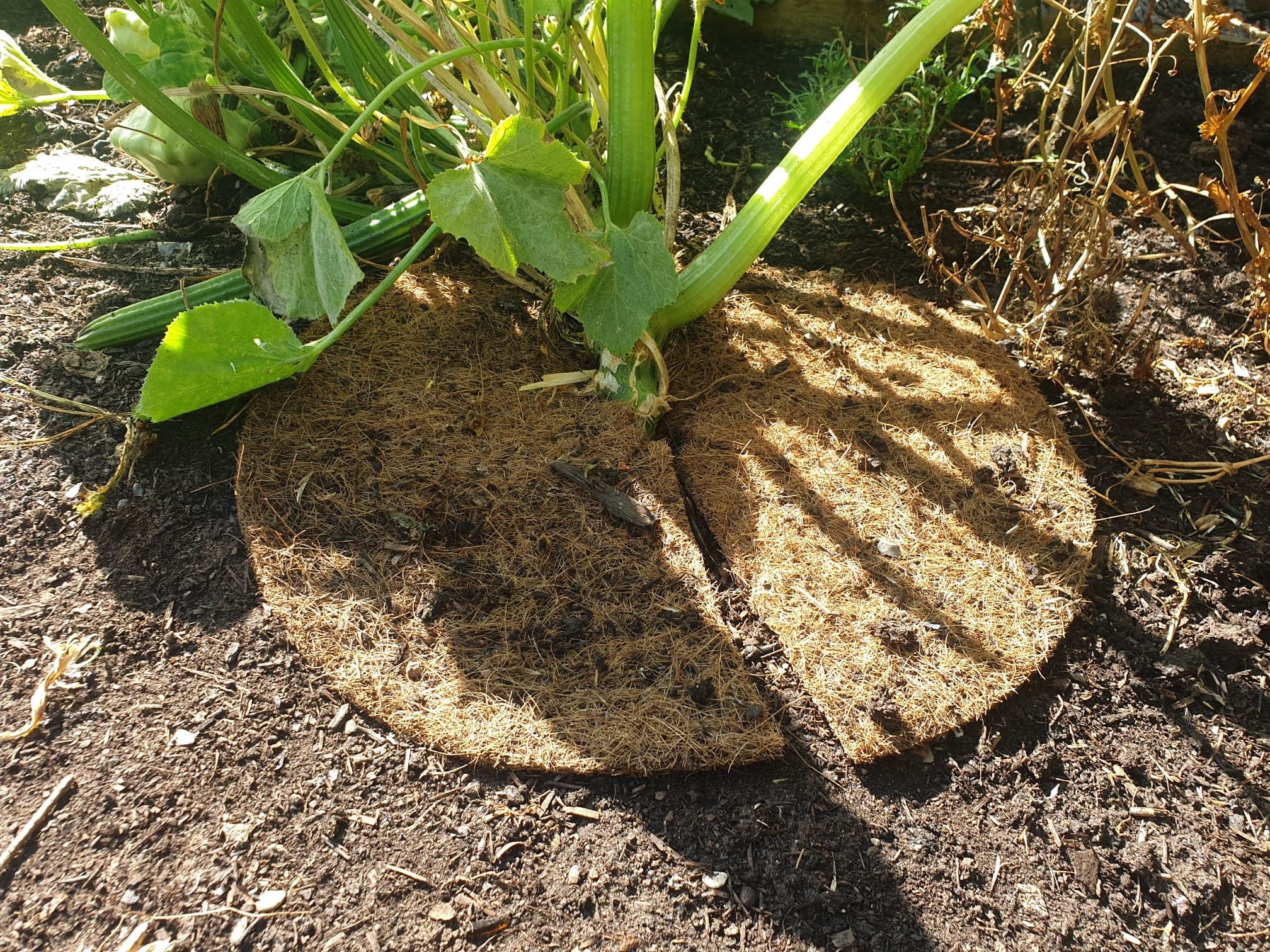 Mulch Mats Pack of 10 for Plants Allotments and Gardens - Etsy