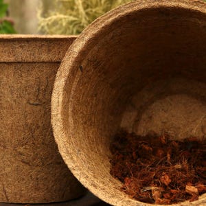 Coco Pots | Coir Plant Pots | Different Sizes Pack: 8cm Pot | 10 Cm Pot ...