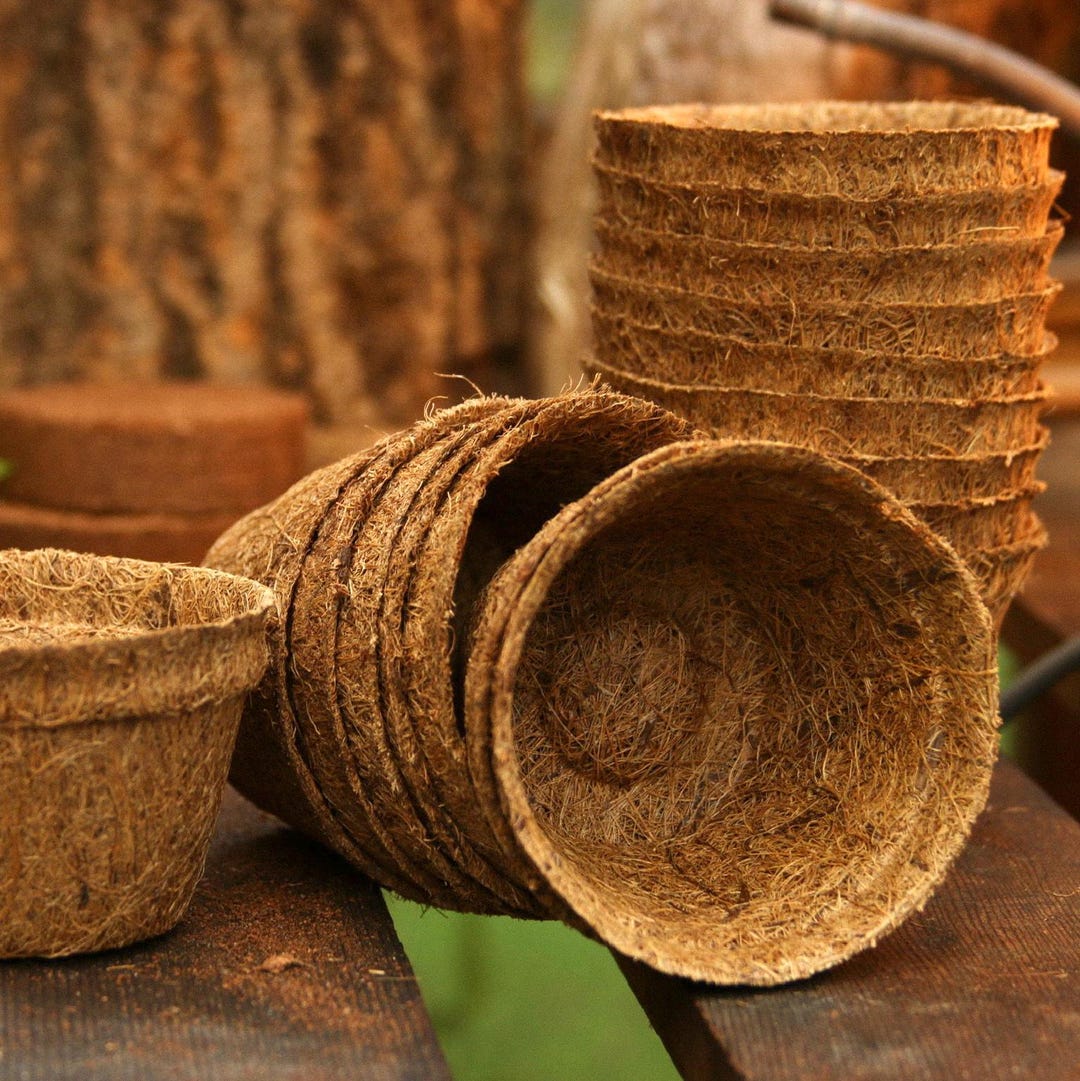 Coir Plant Pots | Coirproducts| Go Green Sowing Pack | Lets Get Growing ...
