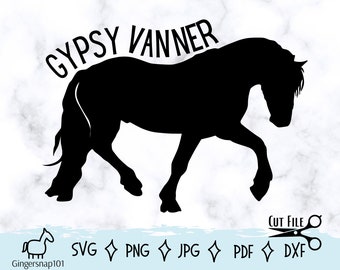 Gypsy Vanner Cob - Etsy
