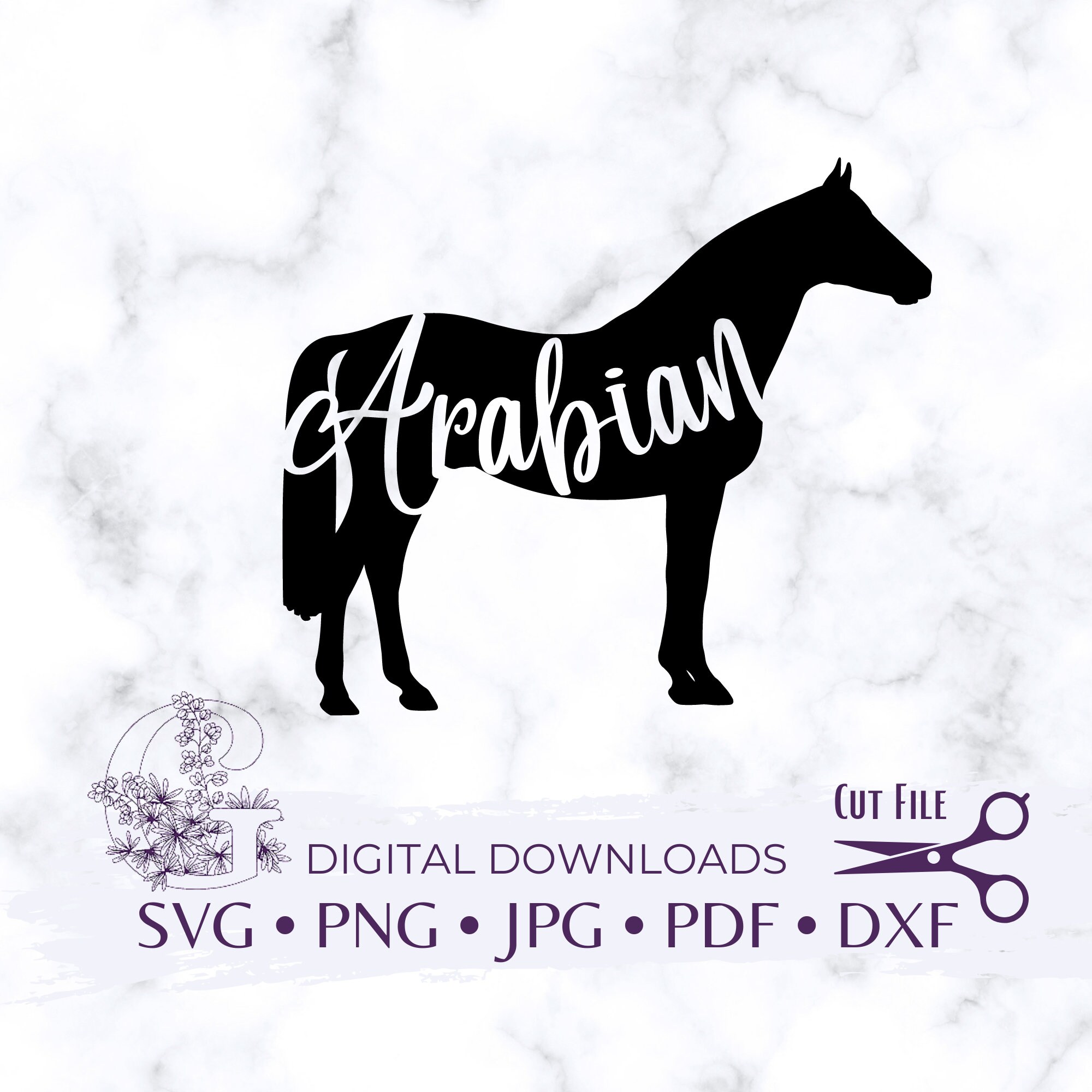 Arabian Horse Silhouette