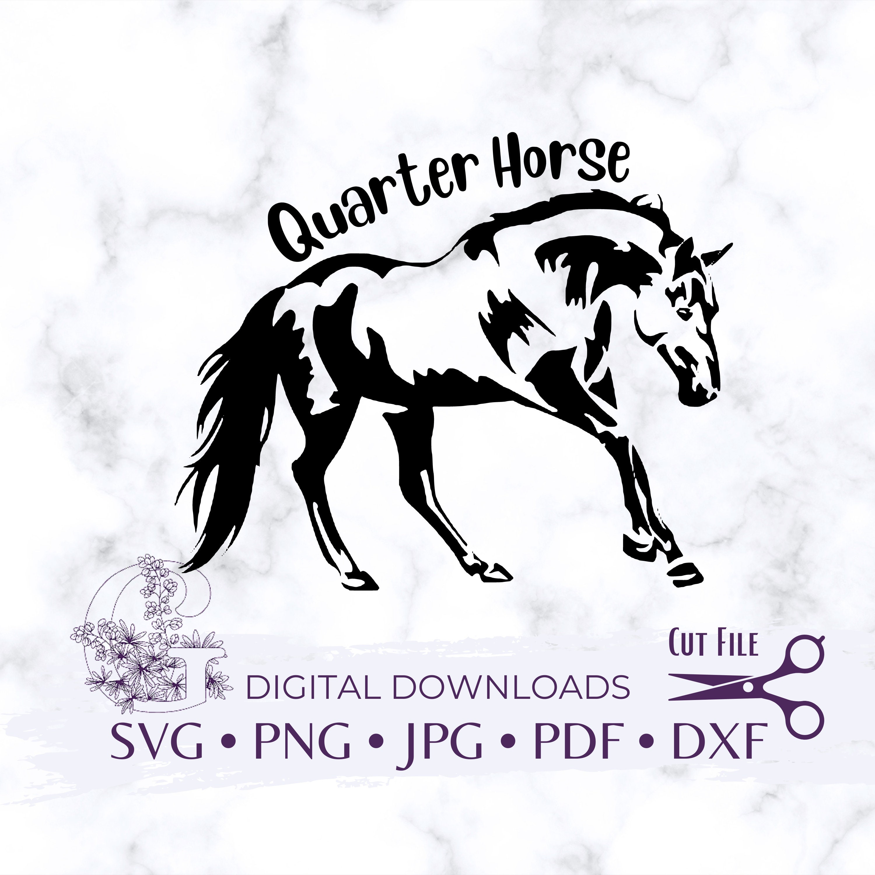 American Quarter Horse Svg, Cricut, Digital Download, Png, Pdf, Jpg ...