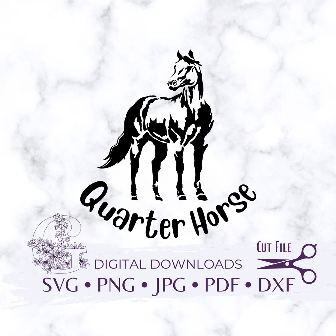 Quarter Horse Svg, Png, Jpg, Pdf, Dxf, Cut File for Cricut, Instant ...
