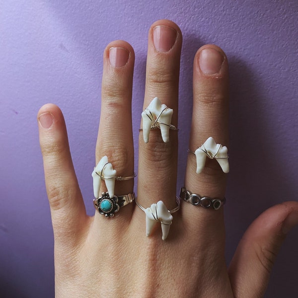 Tooth Ring - Etsy
