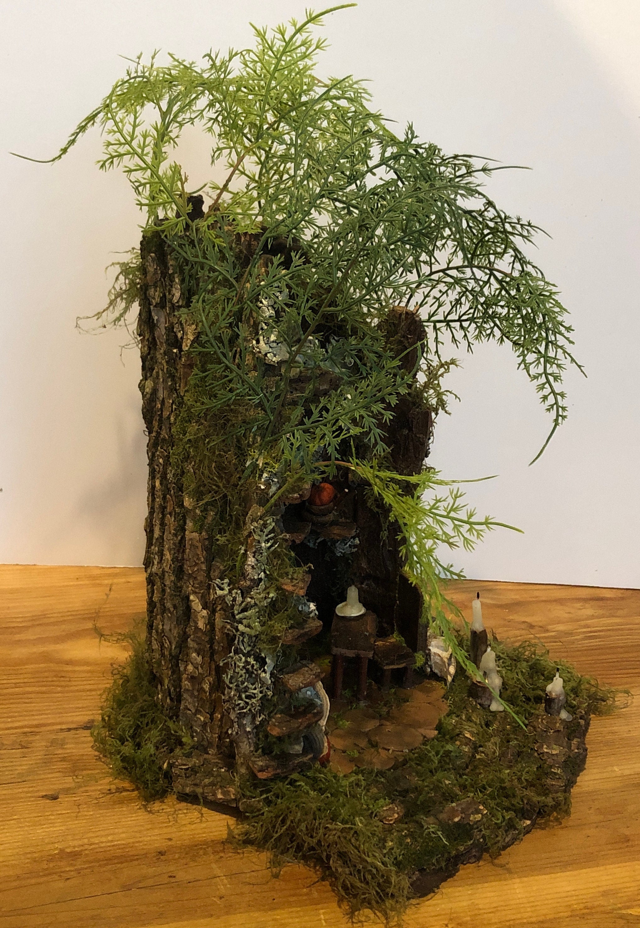 PRICE REDUCTION Hollow Tree Forest Cottage, Faerie House, Faerie ...