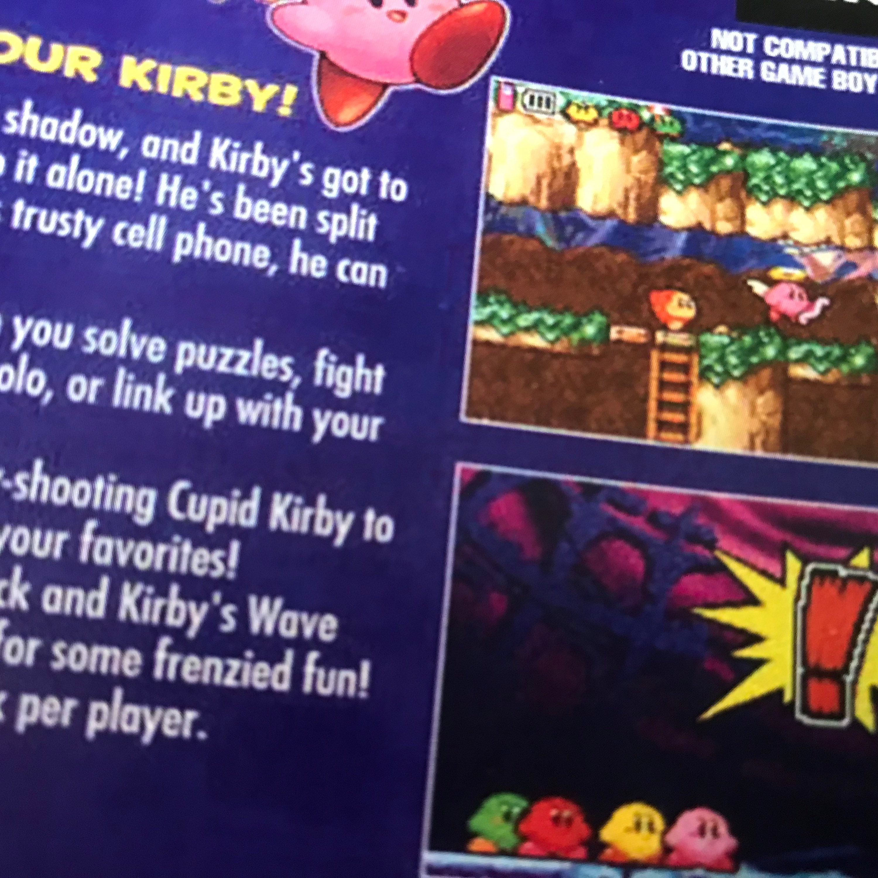 Kirby and the Amazing Mirror GBA Box Art for Clear DS Case (print Only ...