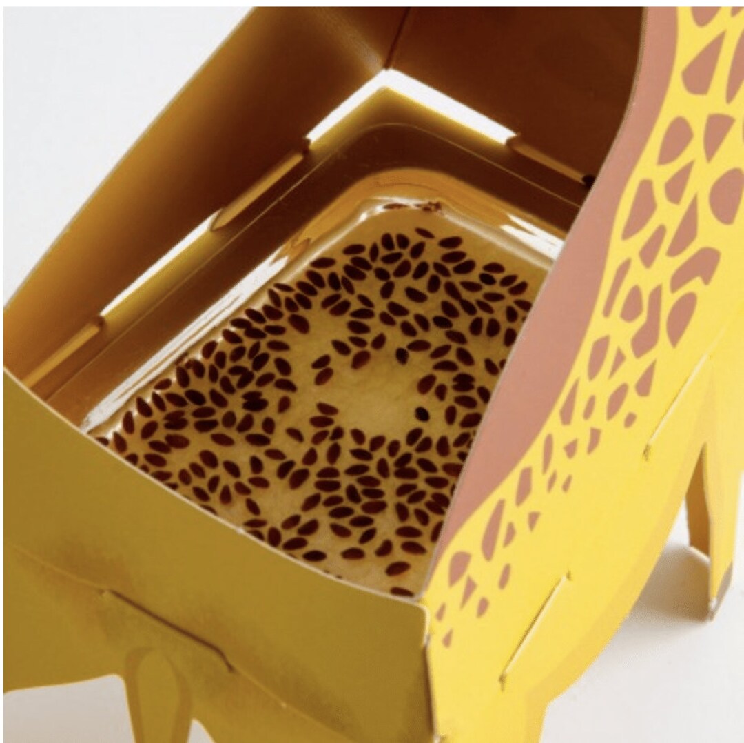 Box: POP UP Animals to Grow - Etsy