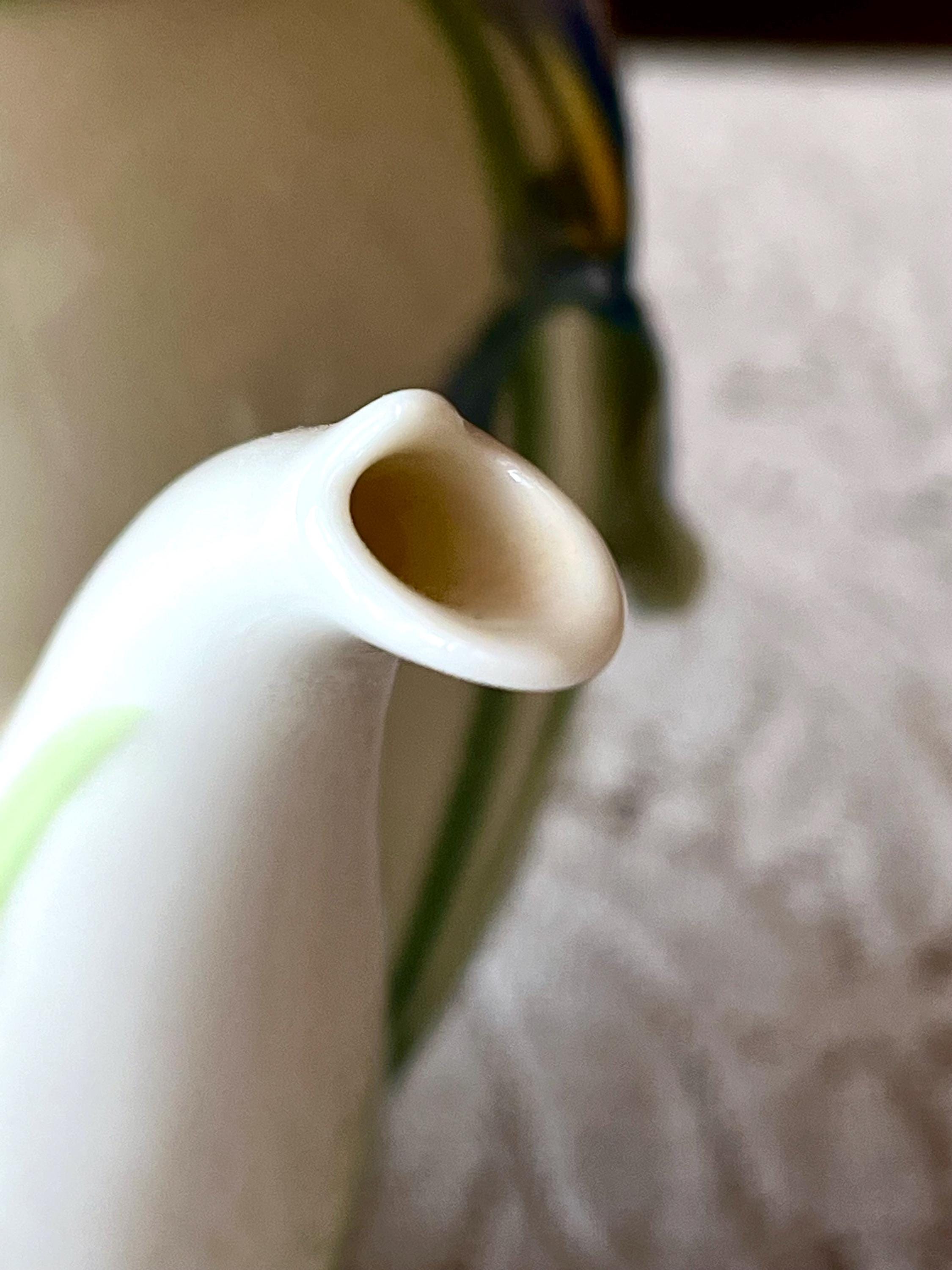 Vintage Franz Collection "long Tail Hummingbird" Collectible Porcelain ...