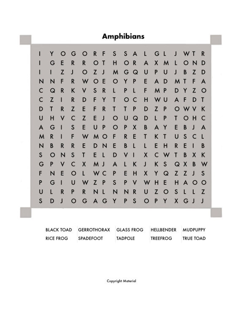 Giant Themed Word Search Puzzles Volume 1 - Etsy