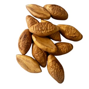 Mini Breads | Dia De Los Muertos Mini Altar Food | Ofrenda - Etsy