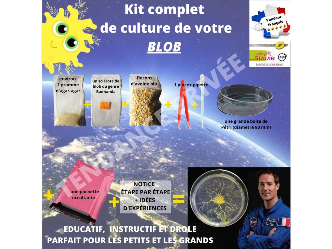 Blob kit complet d'apprentissage sclérote Physarum Polycephalum ou ...