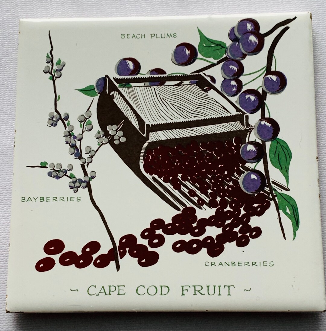 Cape Cod Fruit Decorative Tile With Bayberries, Cranberries & Beach ...