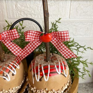 Faux Gourmet Smores Caramel Apple, Caramel Apple, Fake Gourmet Apple ...