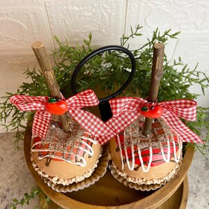 Faux Gourmet Smores Caramel Apple, Caramel Apple, Fake Gourmet Apple ...