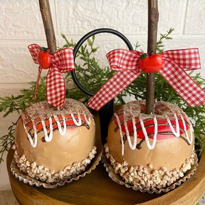 Faux Gourmet Smores Caramel Apple, Caramel Apple, Fake Gourmet Apple ...