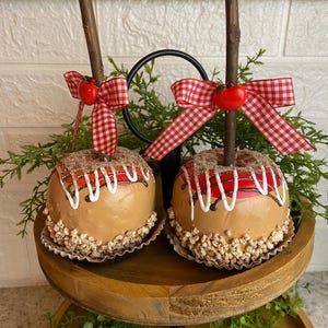 Faux Gourmet Smores Caramel Apple, Caramel Apple, Fake Gourmet Apple ...