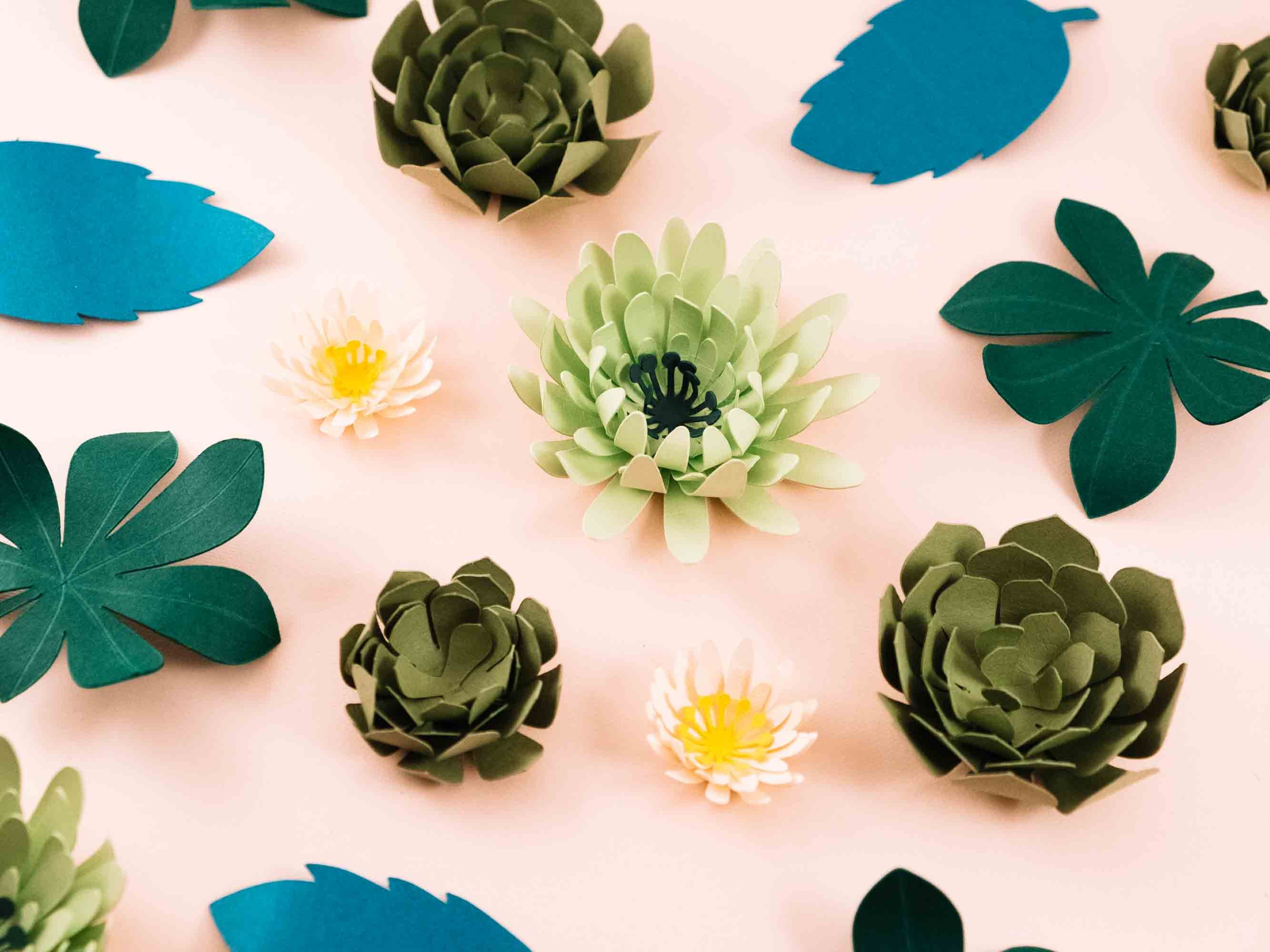 Green Succulents Paper Wreath DIY Craft Kit Fun for Kids and Adults ...