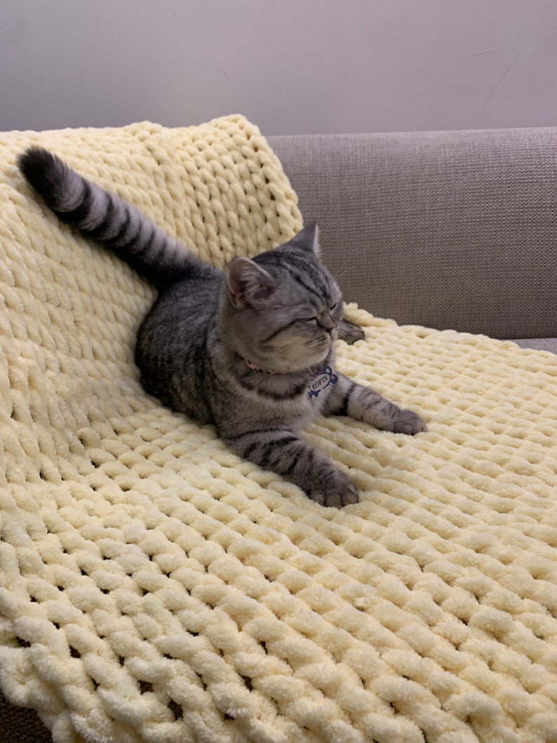 Handwoven %100 Sofa Slipcover: Furniture Protector for Pets, Sofa Cover ...