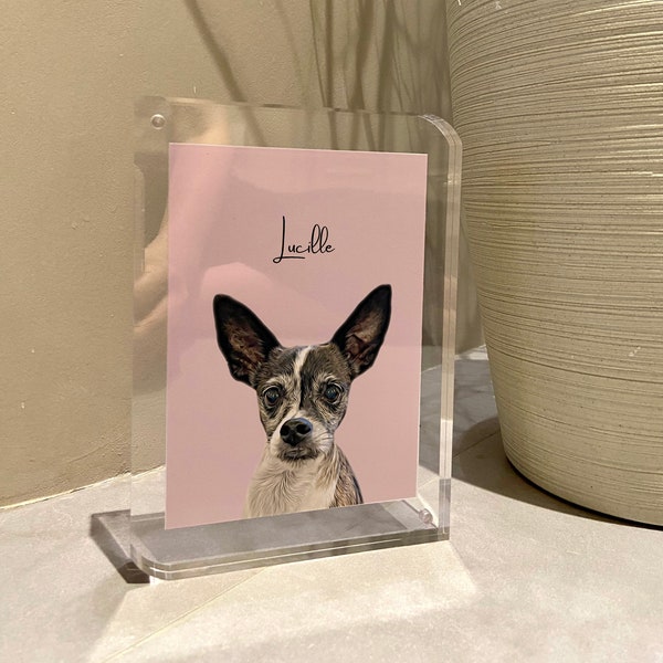 Acrylic Frames - Etsy