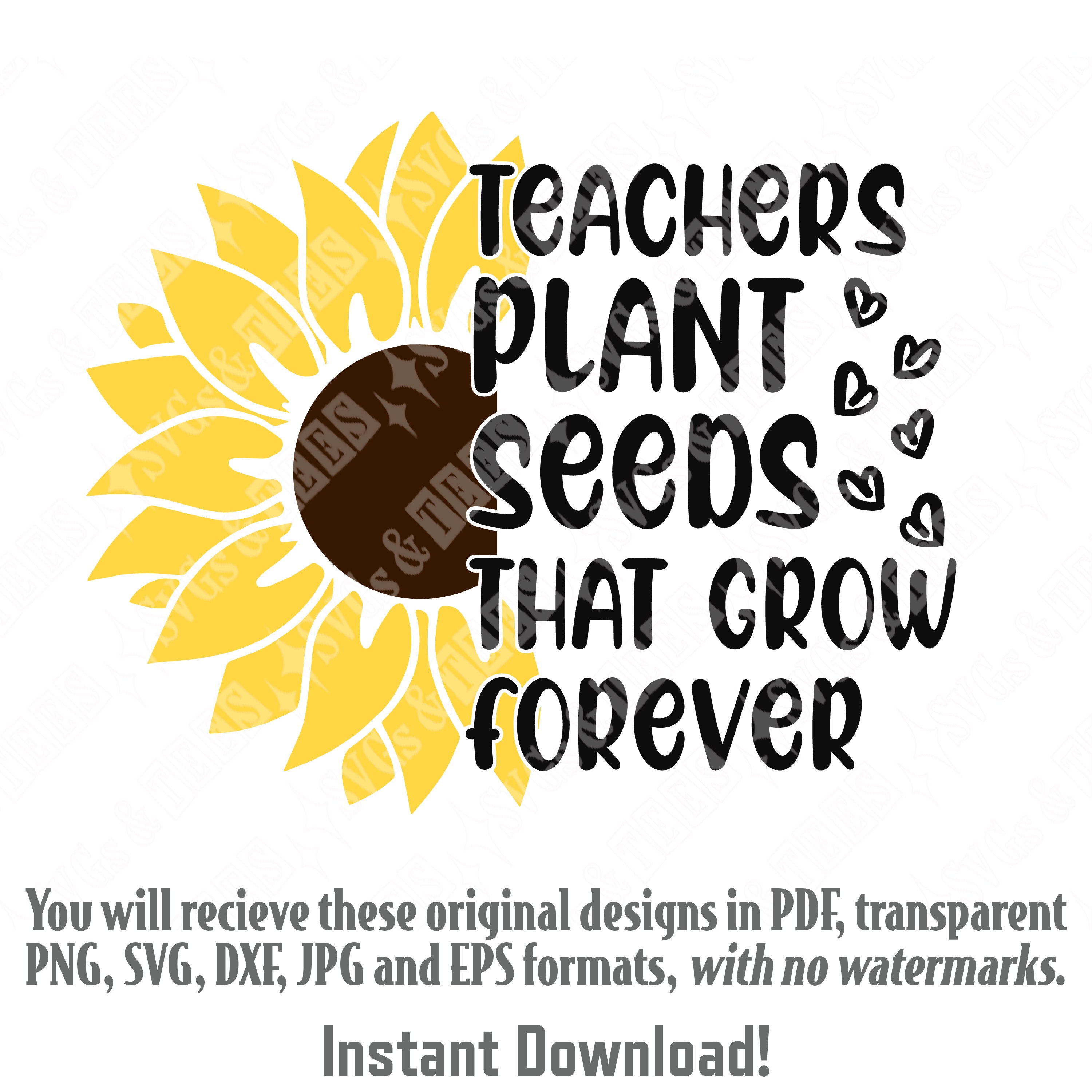 Teachers Plant Seeds That Grow Forever SVG File, Gifts for Teachers PNG ...