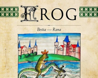 Mtg Frog Token - Etsy