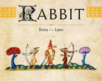 Mtg Rabbit Token - Etsy