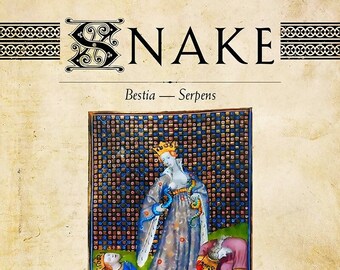 Mtg Snake Token - Etsy