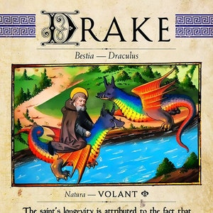 MTG Bestiary: Drake Token - Etsy