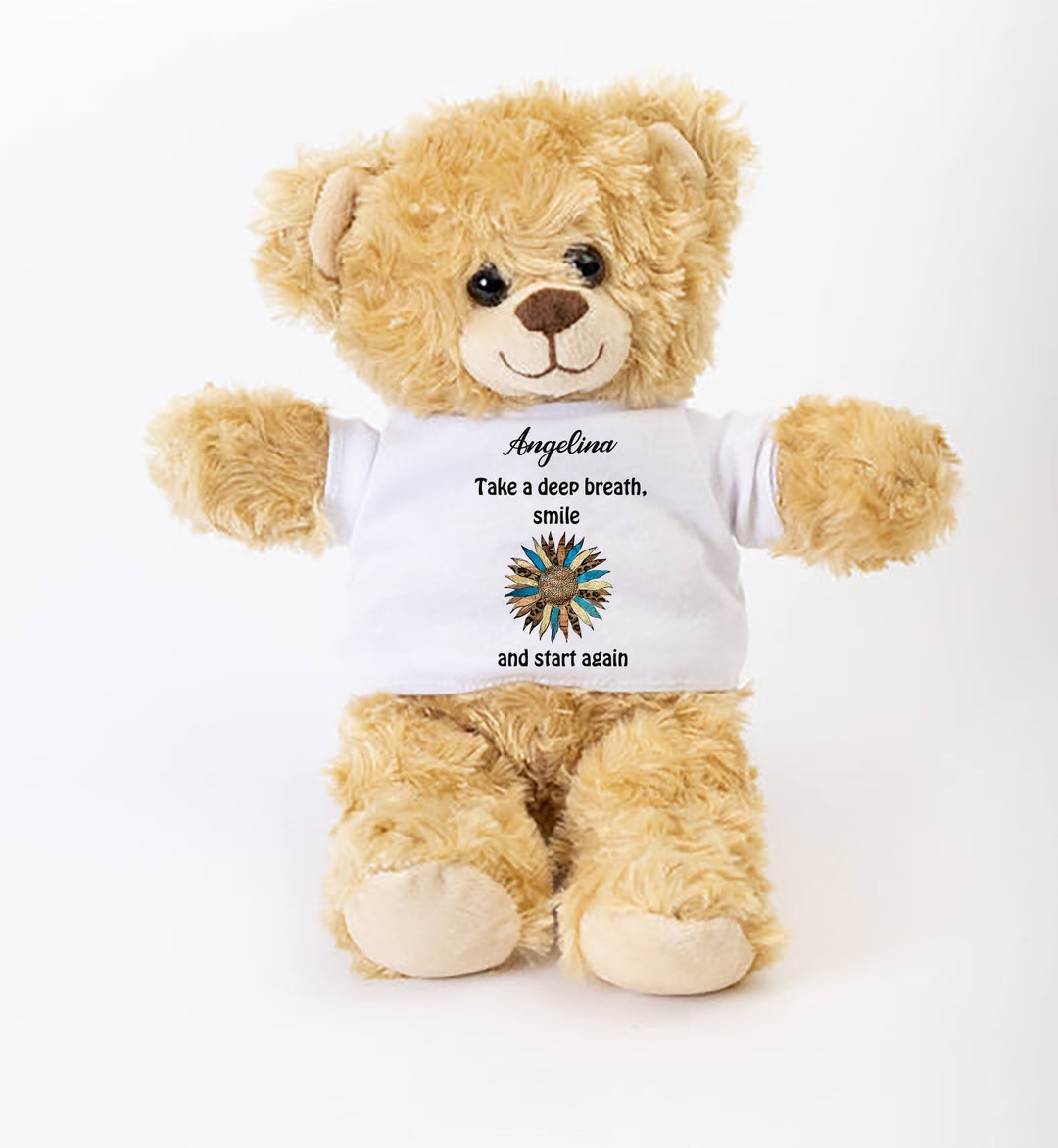 Personalized Divorce Teddy Bear, Divorce Gift for Her Him, Gift for ...