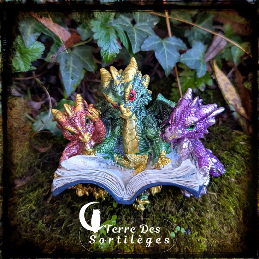 Trio Baby Dragon Reading a Grimoire Resin H10.50 Cm Draconic Magic ...