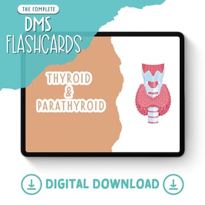 Ultrasound School Abdomen Flashcards, Ultrasound Student Study Notes ...