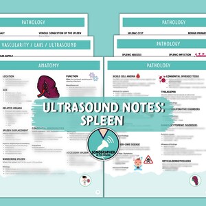 Ultrasound Abdomen Notes Sonography Student Study Guide - Etsy